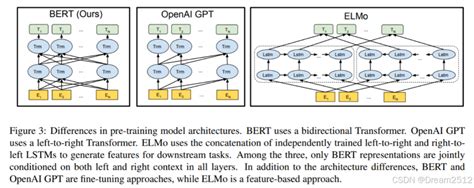 【bert系列模型】bert模型结构图 Csdn博客