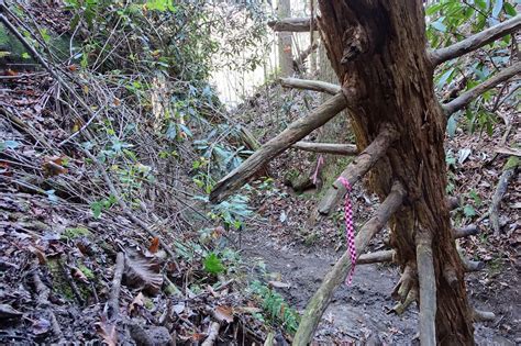 Silent Mover Rough Trail K Rough Means Tough