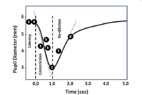 Schematic Diagram Of The Pupillary Reaction Curve Illustrating Plr Download Scientific Diagram