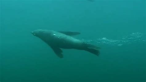 Sumida Aquarium Naturerules1 Wiki Fandom