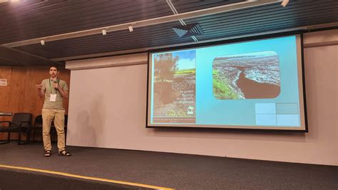 Service Crops Cover Crops In Orchards And Field Crops In Israel