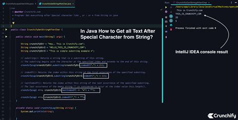 Java Extract Text After Special Character In String
