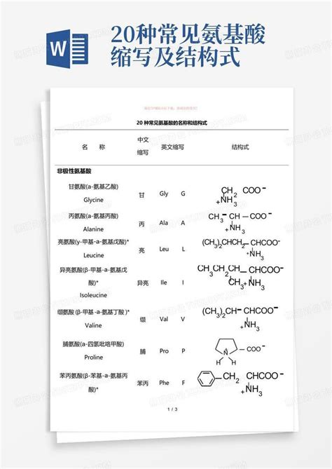 20种常见氨基酸缩写及结构式word模板下载 编号lwgnopom 熊猫办公