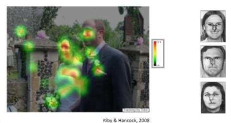 Lecture 18 Thinking About Others Eye Gaze Flashcards Quizlet