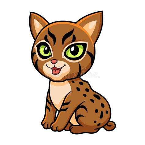 Cute Pixie Bob Cat Cartoon Stock Vector Illustration Of Purebred