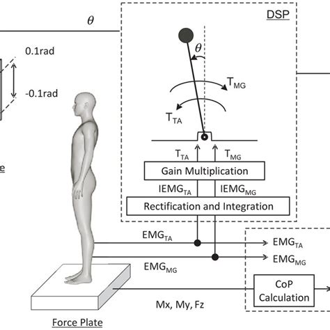 an emg based human computer interface used for virtual balancing emgs