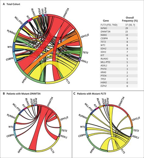 Cooperating Gene Mutations In Acute Myeloid Leukemia A Review Of The