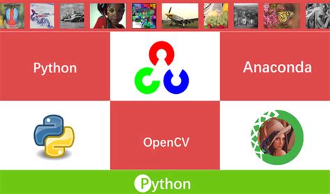 Opencv Dnn模块入门：加载模型与图像处理全流程解析51cto学堂专业的it技能学习平台