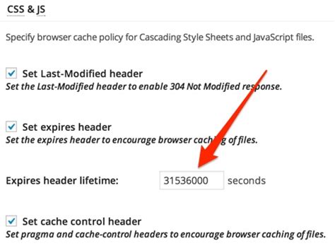 Use W3 Total Cache To Enable WordPress Browser Caching