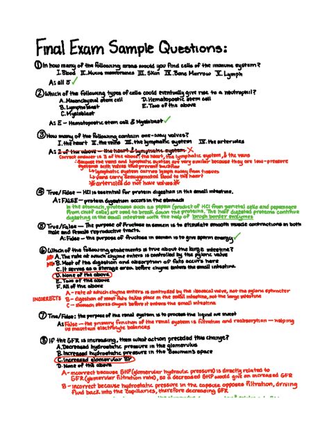 Final Exam Sample Questions Final Exam Sample Questions Studocu