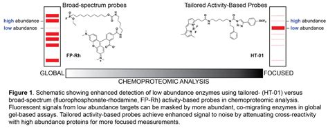 Chemical Probes Hsu Lab