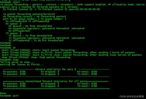 vmware虚拟机搭建dpdk环境 but no mounted hugetlbfs found for that size csdn博客