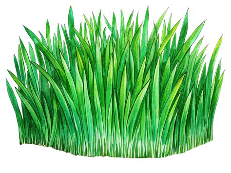 Emerald Green Grass Texture Hand Drawn 49349835 Png