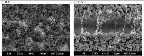 Figure 1 From Influence Of Electrodes Polarization On The Response Of
