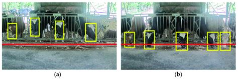 Example Of Feeding Behavior Detection A Example Of Non Feeding