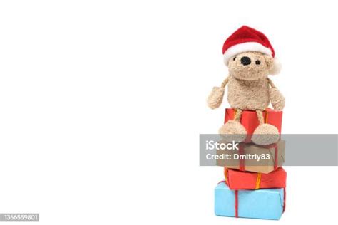 산타 클로스 모자를 쓴 작은 테디 베어는 크리스마스 선물로 상자에 앉아 있습니다 흰색 배경에 12월에 대한 스톡 사진 및 기타 이미지 Istock
