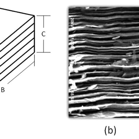—properties Of Pyrolytic Carbon [1] Download Table