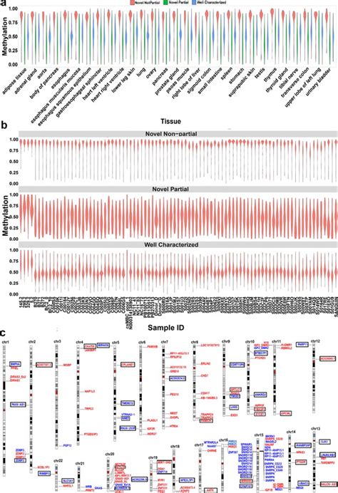 Genome Wide Detection Of Imprinted Differentially Methylated Regions Using Nanopore Sequencing