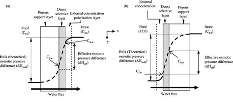 Figure 1 From Modeling Of External And Internal Concentration