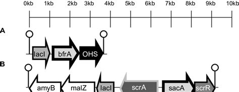 The Predicted Carbohydrate Download Table
