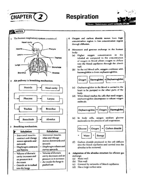 Form 3 Chapter 2 Revision Pdf