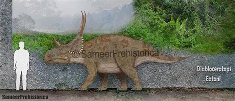 Diabloceratops Size By Sameerprehistorica On Deviantart