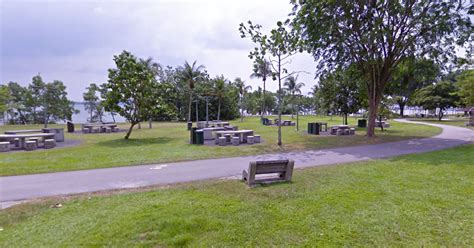 Foetus Abandoned Near Barbeque Pit At Pasir Ris Park Nestia