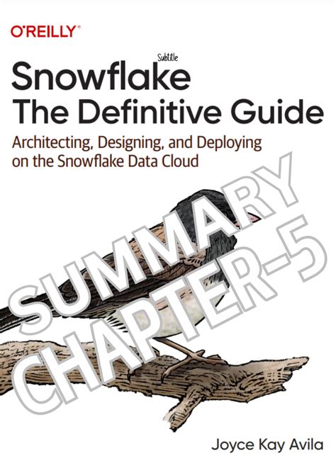Datasecurity Snowflake Rbac Accesscontrol Datagovernance Aman Gupta