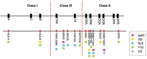 Markers Across The Hla Region Associated With Risk And Protection To