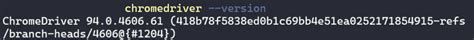 Step By Step Selenium Wait Until Element Is Visible
