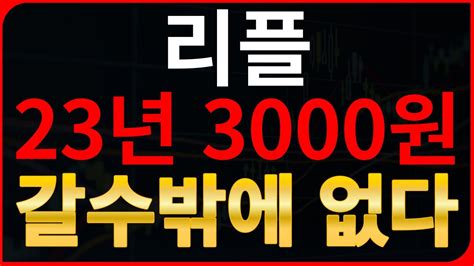 리플 코인 전망 지금까지 몰랐던 충격적인 소식 Youtube