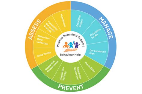 What Is Positive Behaviour Support Behaviour Help