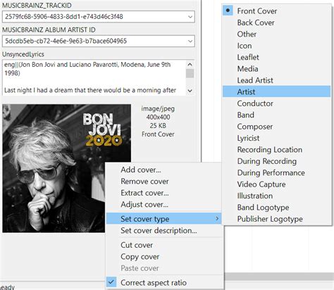 Artist Cover And Genre Cover Support Mp3tag Community