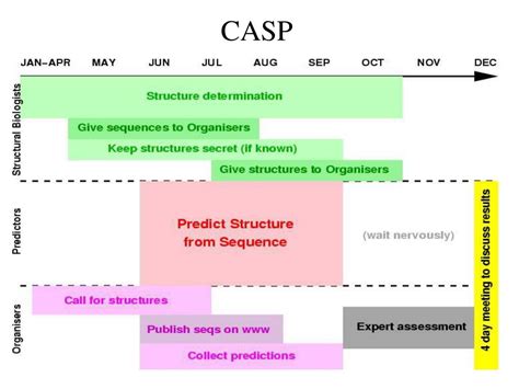 Ppt Protein Structure Prediction Powerpoint Presentation Free Download Id3698917