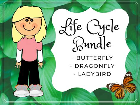 Insect Life Cycle Powerpoints Ks2 By Gdwaters1 Teaching Resources