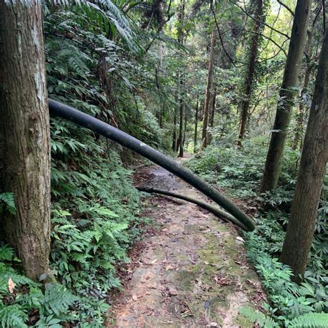 騎龍古道 步道狀況回報 2022 09 10 14 29 健行筆記