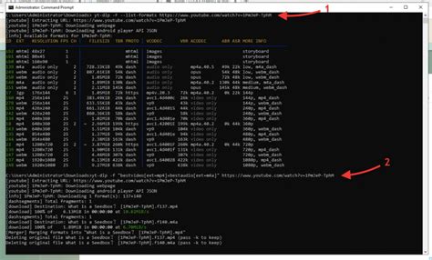 How To Use Yt Dlp The Complete Guide 2024 — Rapidseedbox