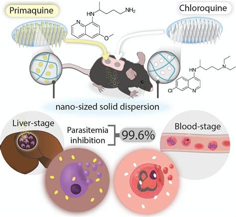 Primaquine And Chloroquine Nano Sized Solid Dispersion Loaded Dissolving Microarray Patches For