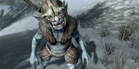 Best Non Human Followers In Skyrim