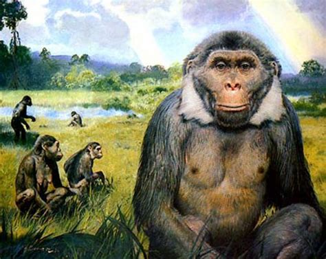 Ramapithecus Sivapithecus And Narmada Man Indias Earliest Inhabitants