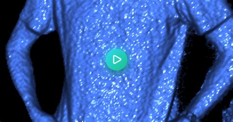 The Truffle Shuffle  On Imgur