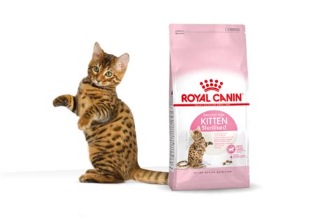 Royal Canin Kitten Sterilised online kopen? → Dierencompleet.nl