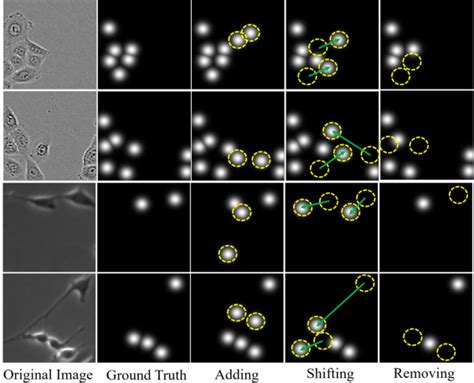 Figure 5 From Effective Pseudo Labeling Based On Heatmap For Unsupervised Domain Adaptation In