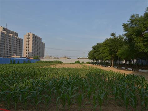 开滦精神卫生中心 怎么样 地址 电话 挂号方式 中国医药信息查询平台