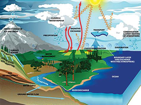A Typical Representation Of The Global Water Cycle From The United