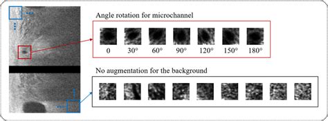 Data Augmentation For Candidate Classification Network The Bounding Download Scientific