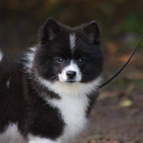 Izzy King Photography