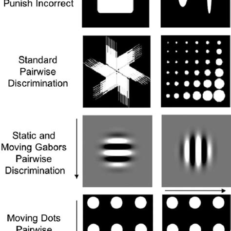 Visual Stimuli Presented Throughout The Different Stages Of Pairwise