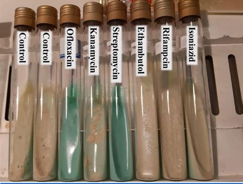 Results Of Antibiogram Testing In Atcc Strain Atcc Strains Show