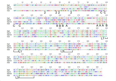 Protein Sequence Alignment Of The Fefe Hydrogenases Of C